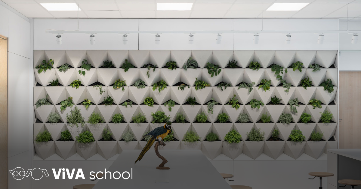 Realizace | ViVA school